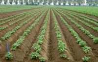 Agrowin